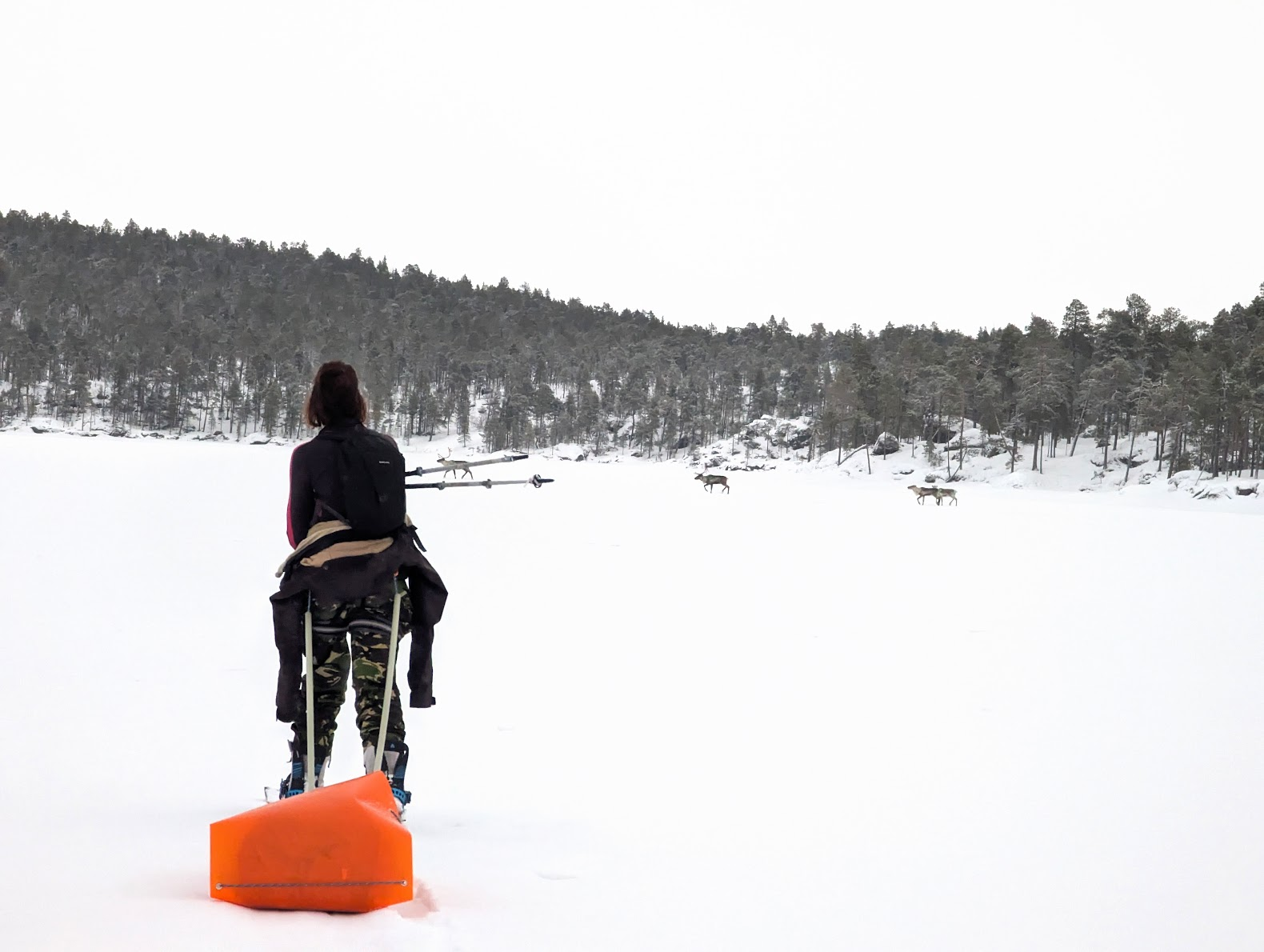 Inari, Finland: How to Visit the Sámi Cultural Capital – Shortcuts and ...